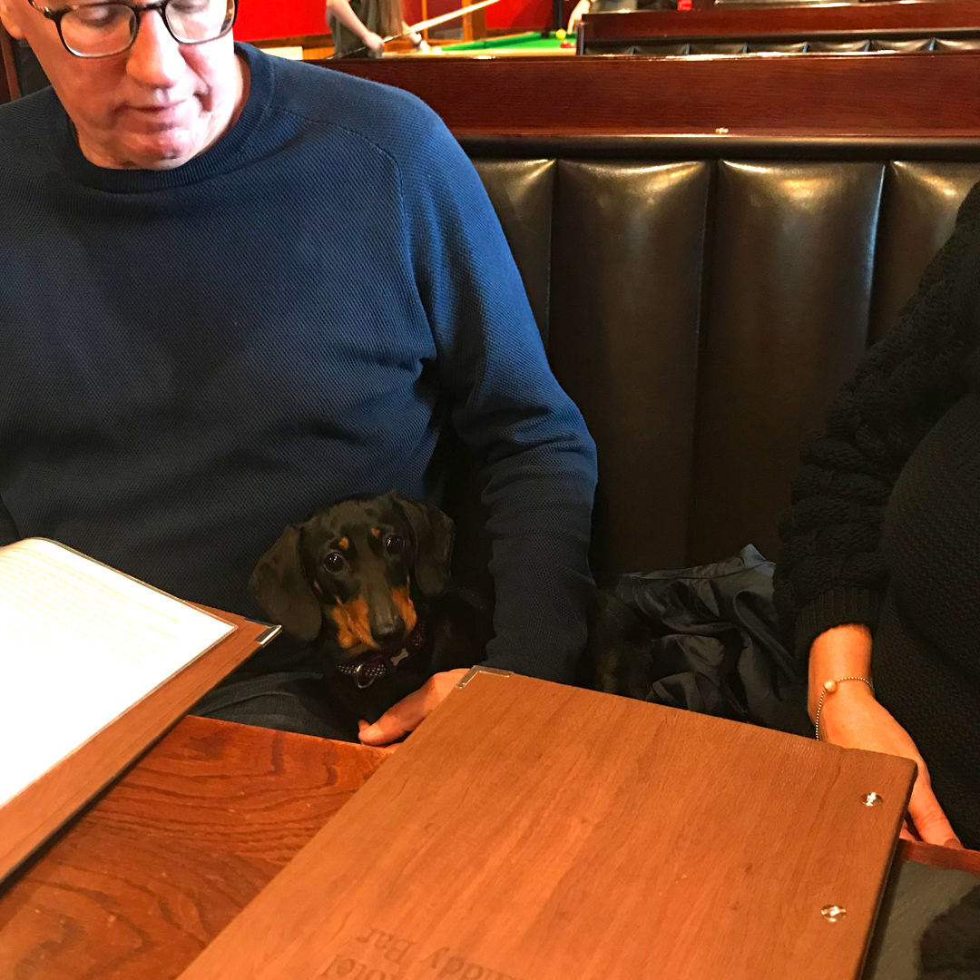 Who we are - TakeDoggo